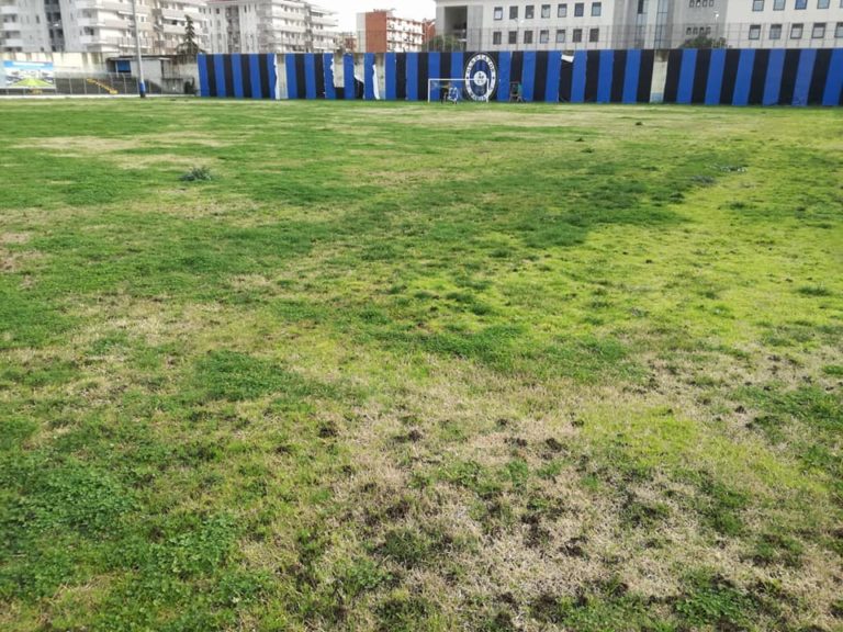 La parabola discendente del Piccirillo: da gioiellino a strazio. Slitta ...